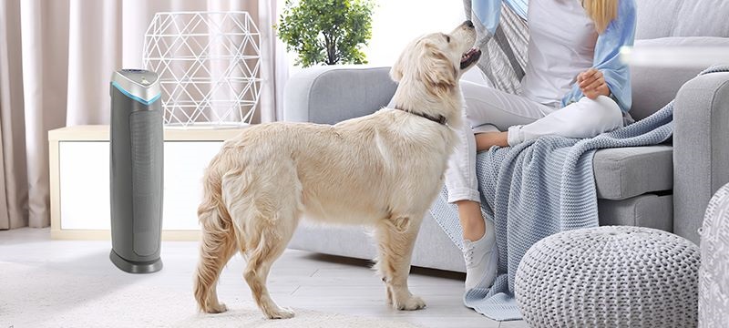 PureGuardian® Large Room Hi-Performance Tower Console Air Purifier